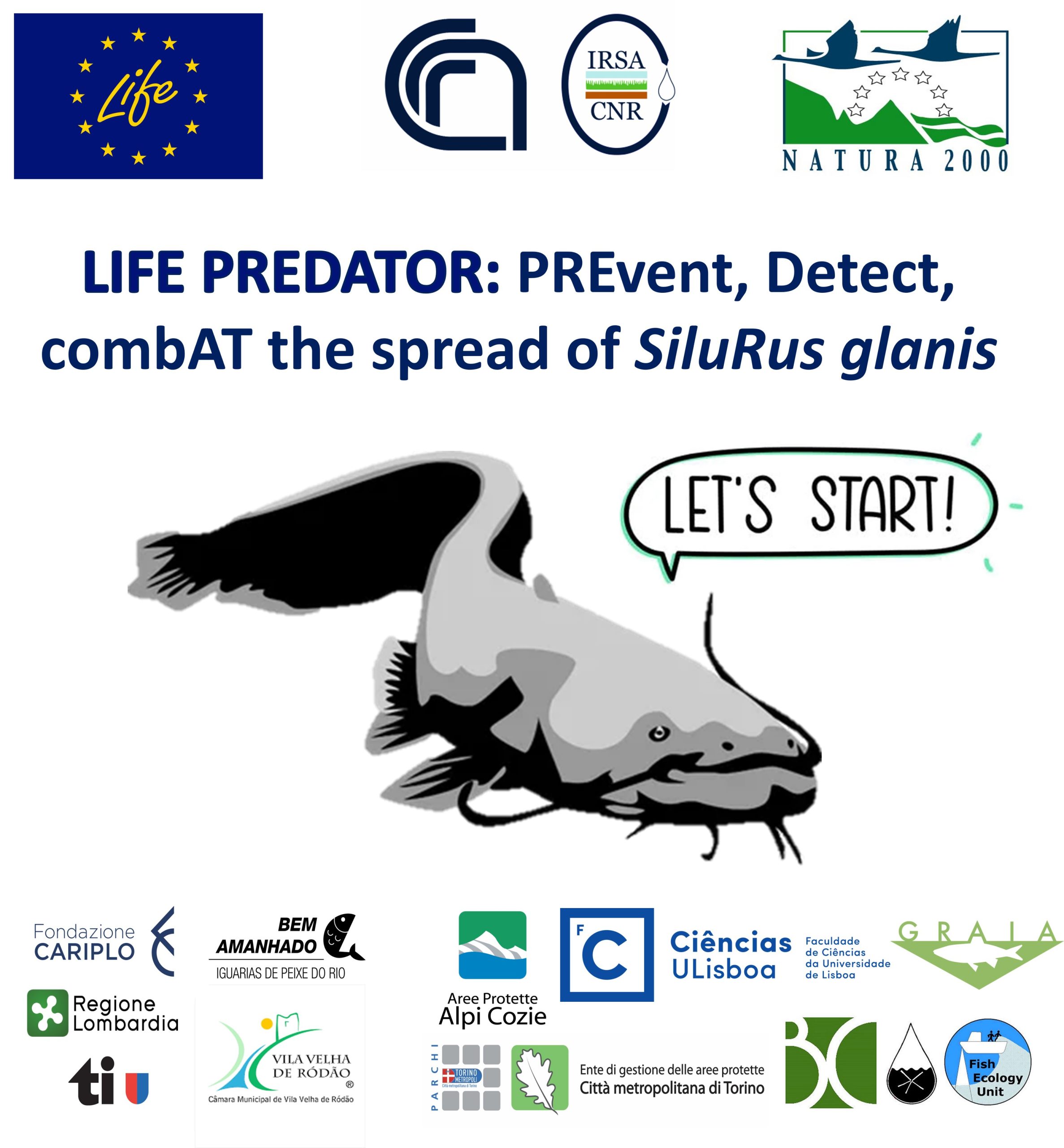 Il Siluro (Silurus glanis) minaccia la biodiversità dei laghi Sud ...